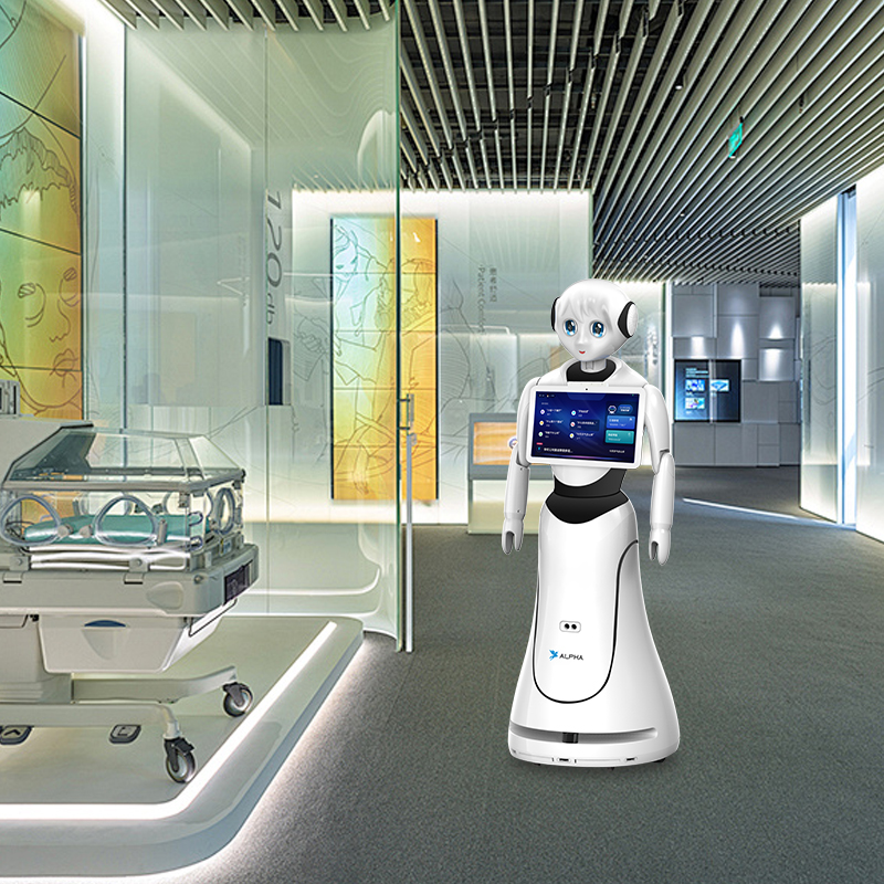 Alice - Suzhou Alpha Robotics Co.,Ltd.