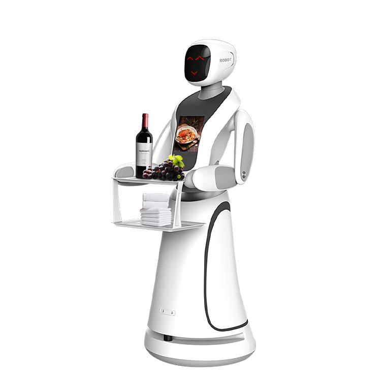 Amy - Pangolin Robot Corp